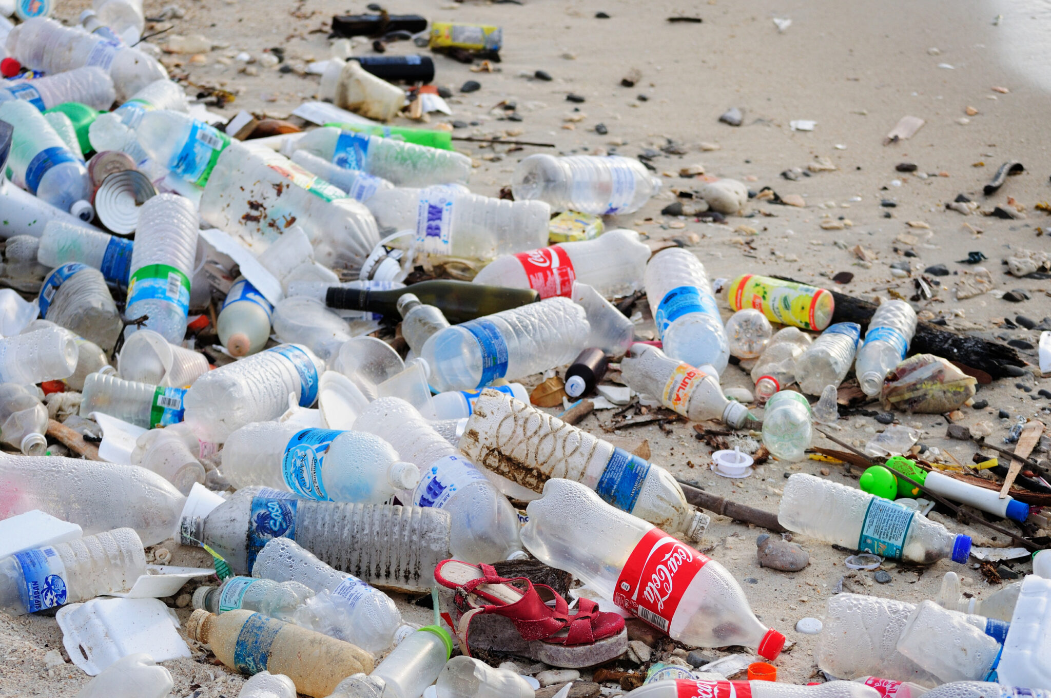 Coca Cola most common littered brand on UK beaches - ProBonoMundi.org